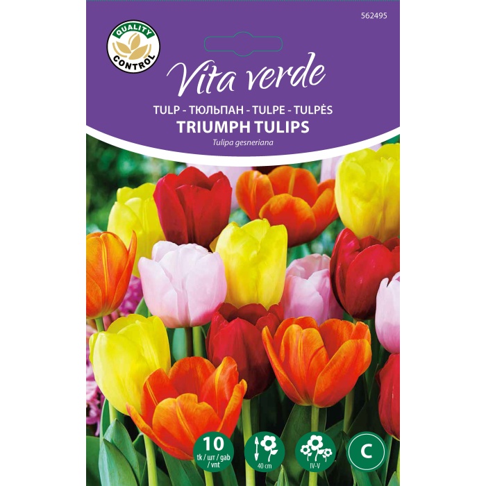 Tulp Triumph C 10tk @ Koduekstra e-pood
